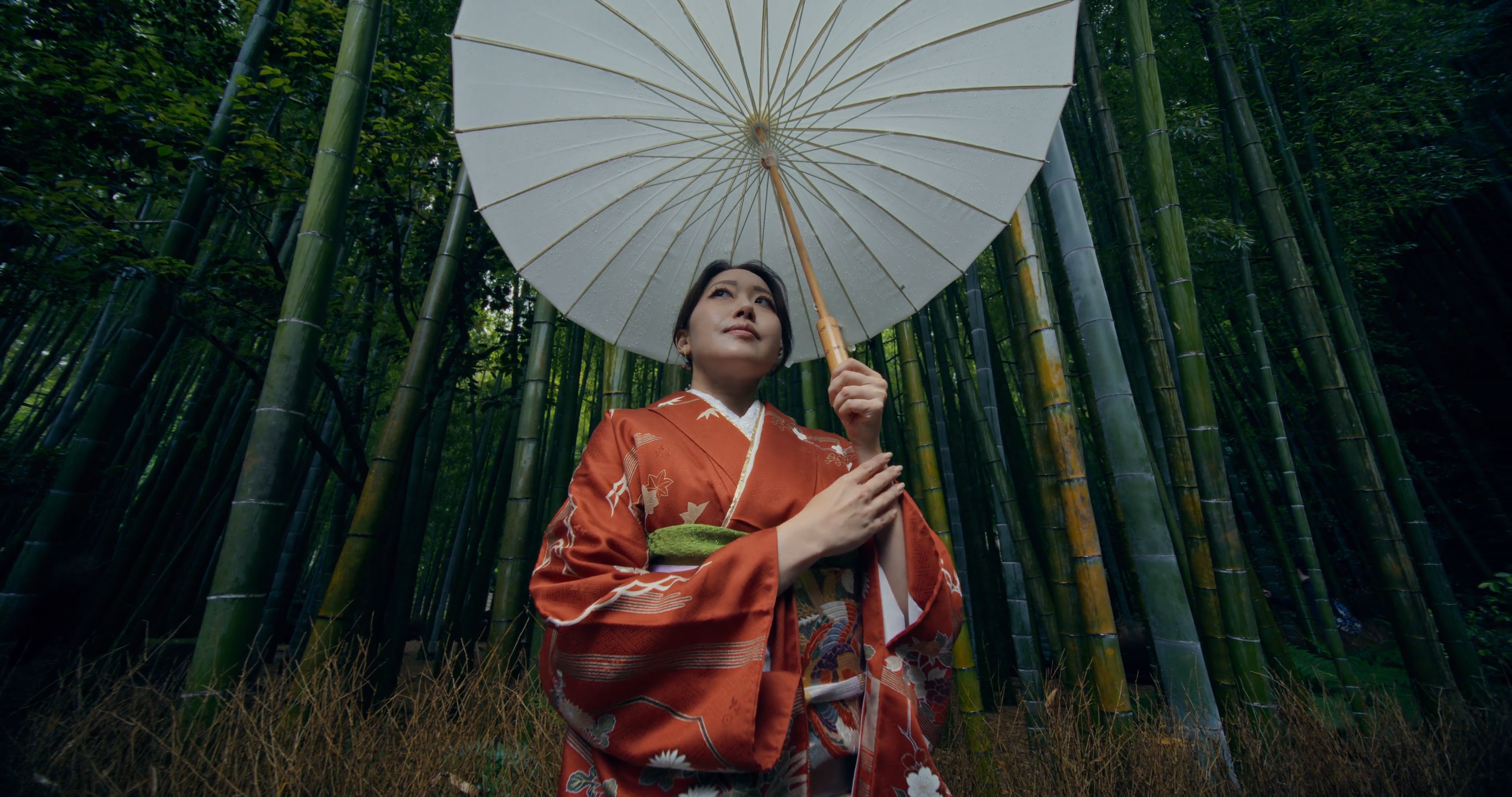 Discover geisha, a story-driven footage | Artlist