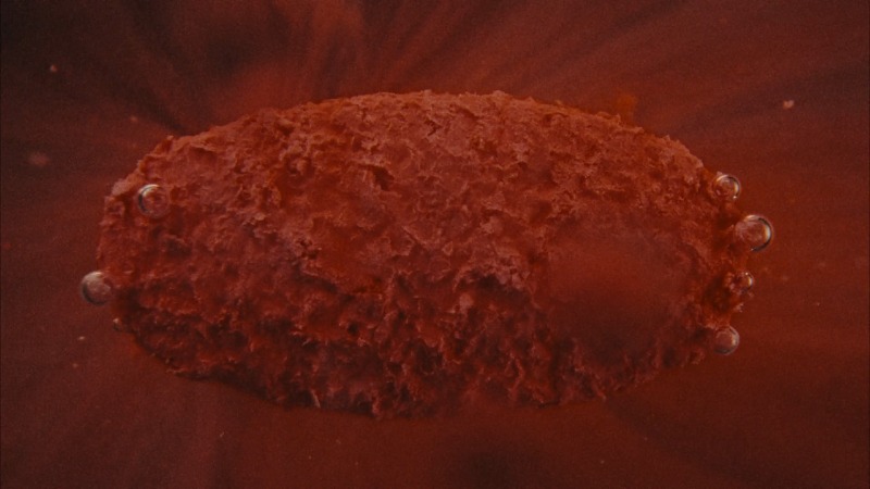 Dissolving, Dissolve, Medication, Medicine by MXR Productions – Stock ...