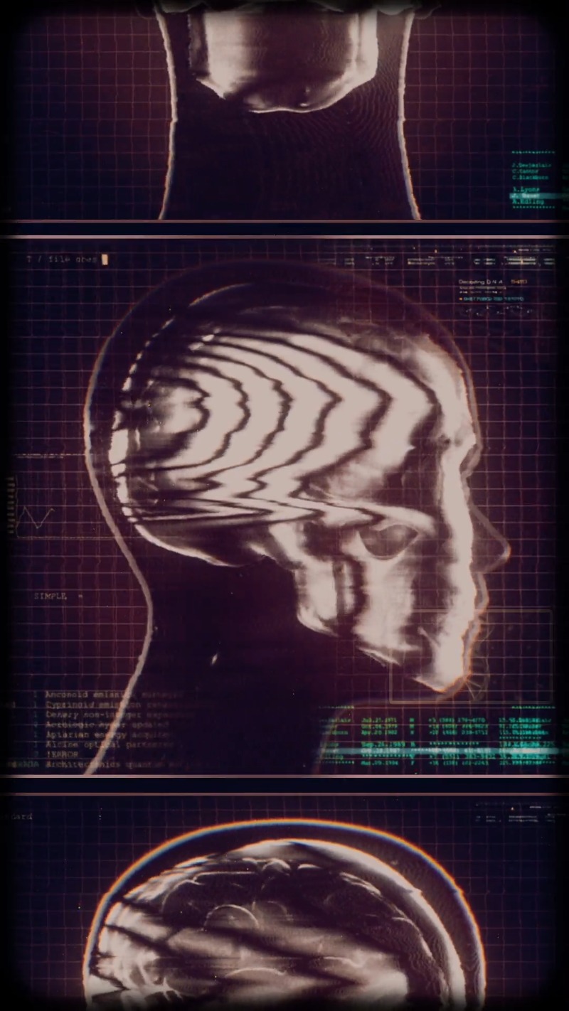 Glitch, Head, Skull, Infographic by Pixel DNA – Stock Footage | Artlist