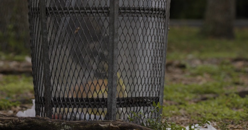Florida, Miami, Trash Can, Forage by Day's Edge Productions – Stock ...