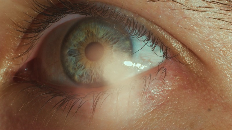Eye, Staring, Flashing, Eyelid by Yuval Aloni – Stock Footage | Artlist
