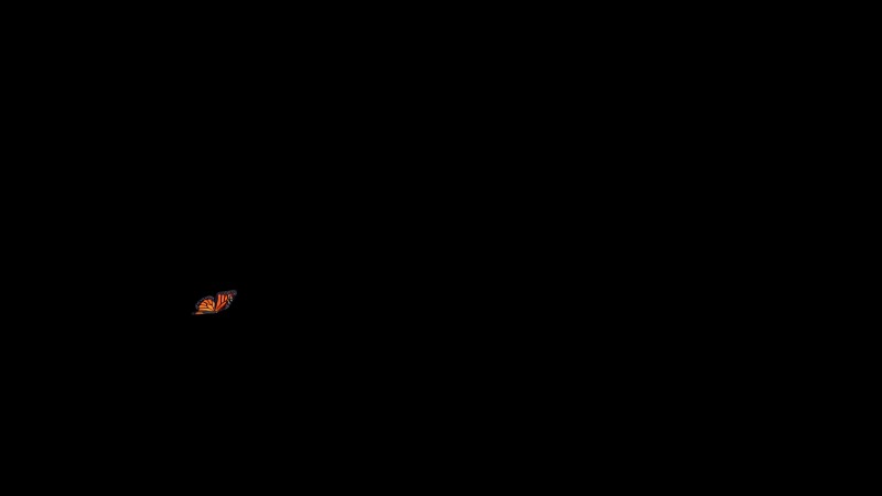 3d, Monarch, Butterfly, Vfx by Senssorial – Stock Footage | Artlist