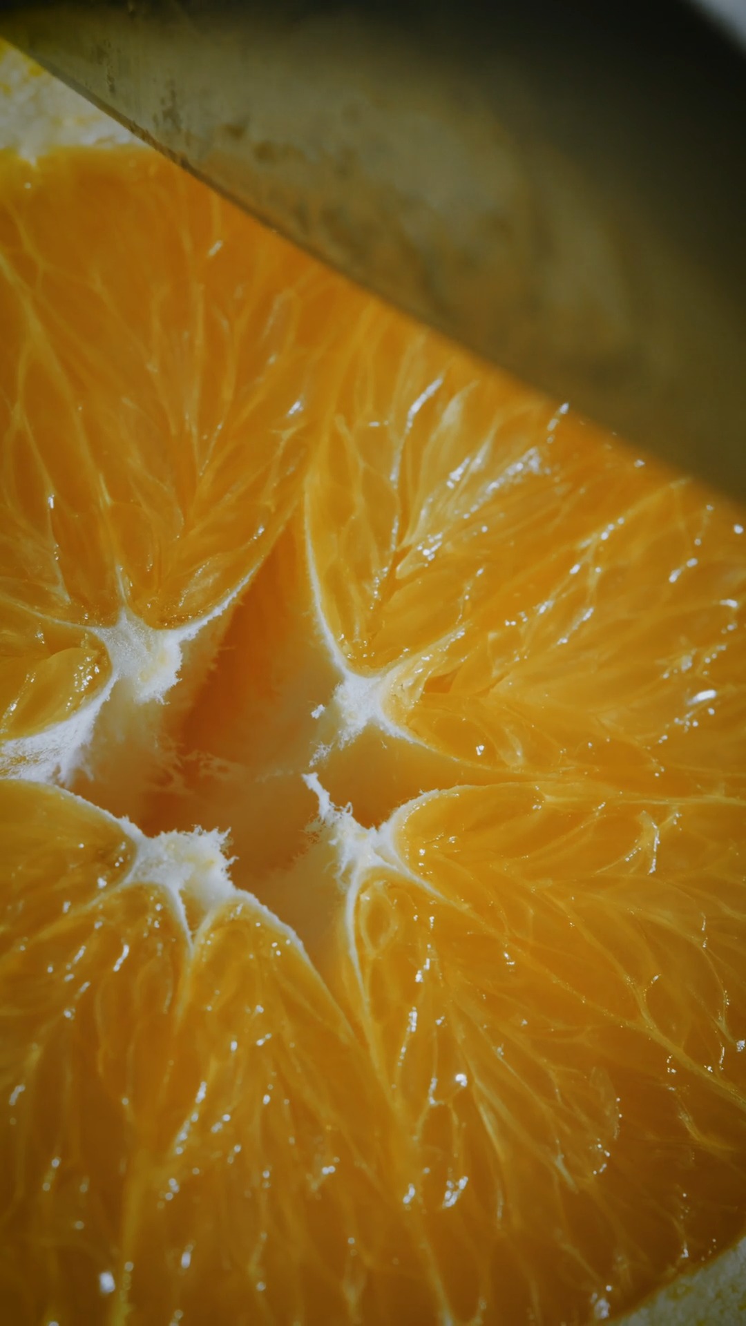 Discover macro-fruit, a story-driven footage | Artlist