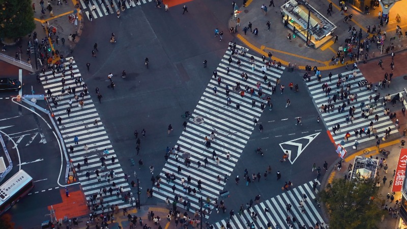 Traffic, Tokyo, Japan, Shibuya by Justin Tierney – Stock Footage | Artlist