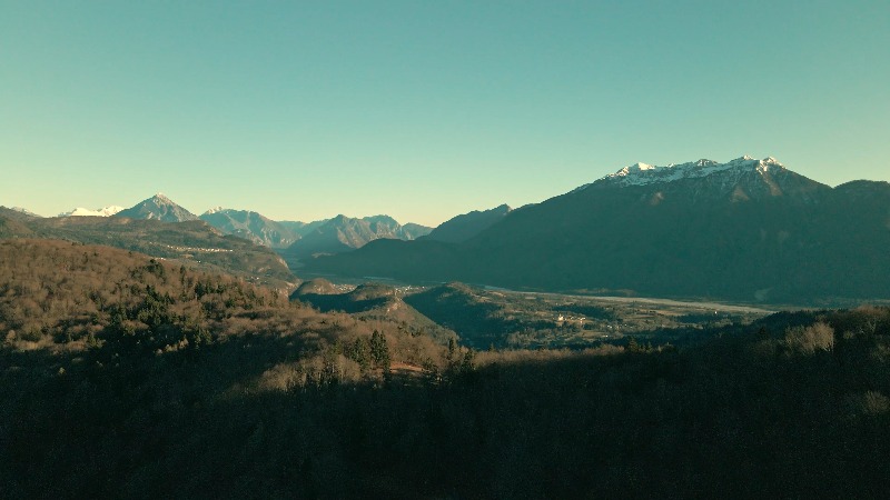 Cabins, Dolomites, Town, Pine Trees by Pierre Saba-Aris – Stock Footage ...