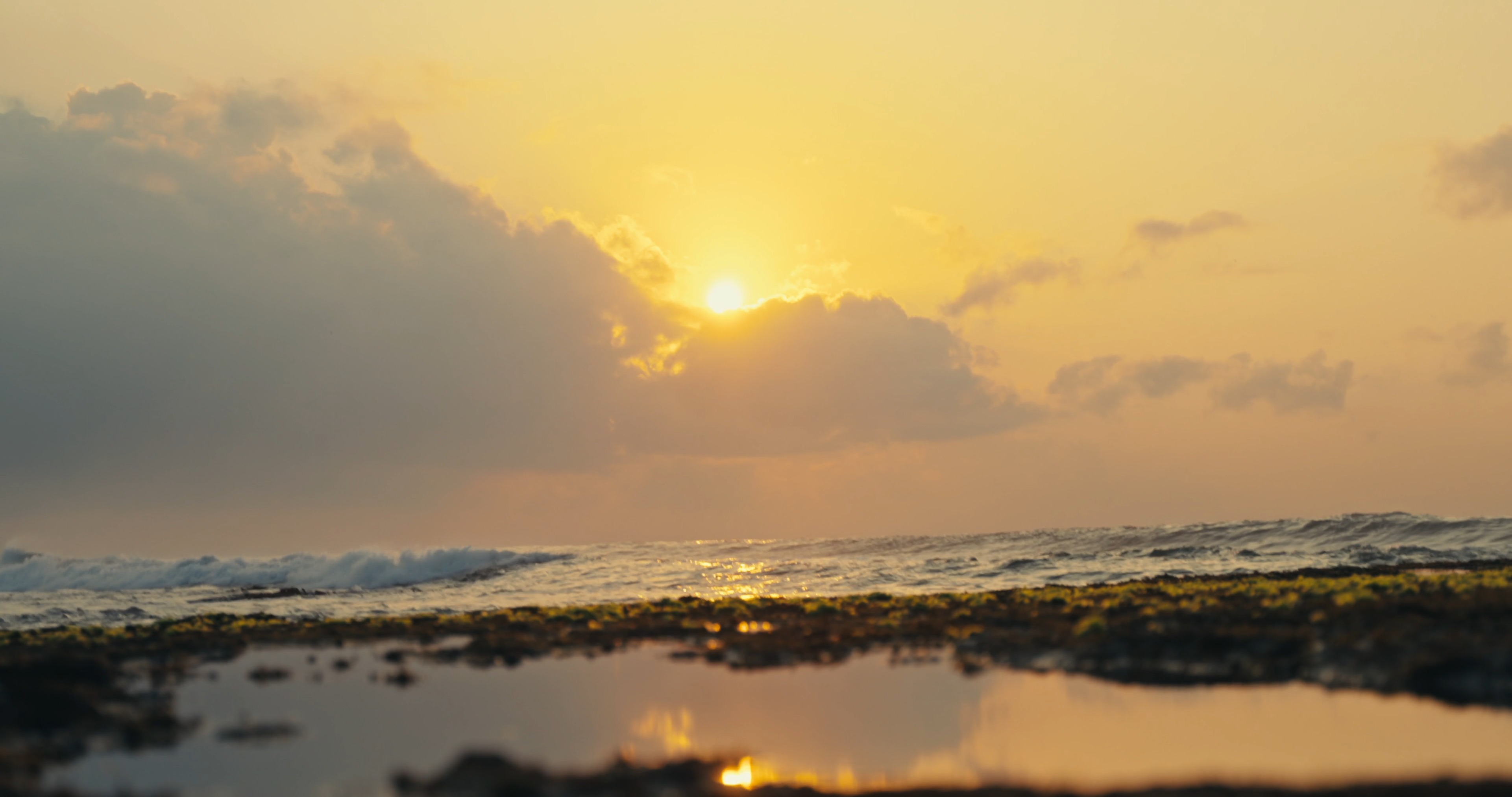 Discover beach-rituals, a story-driven footage | Artlist