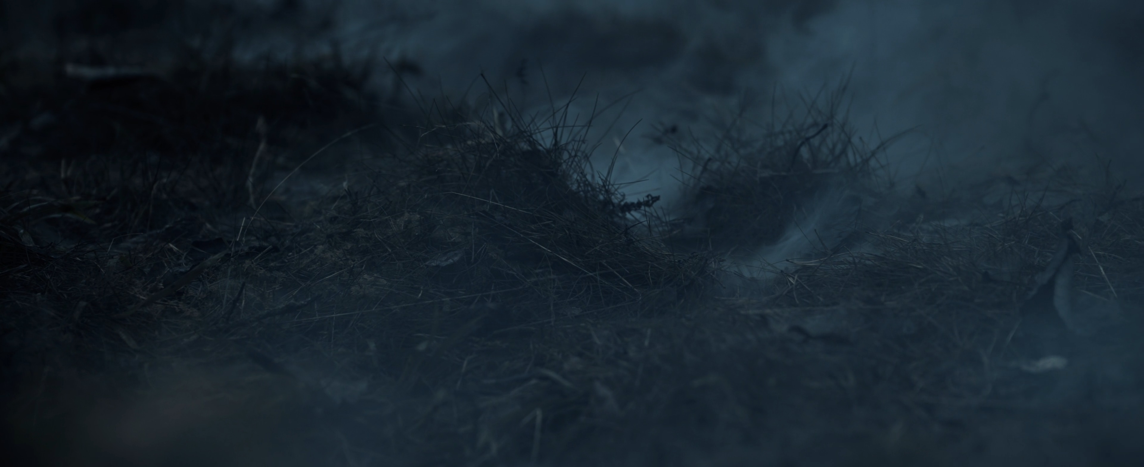 Discover dark-female-entity, a story-driven footage | Artlist