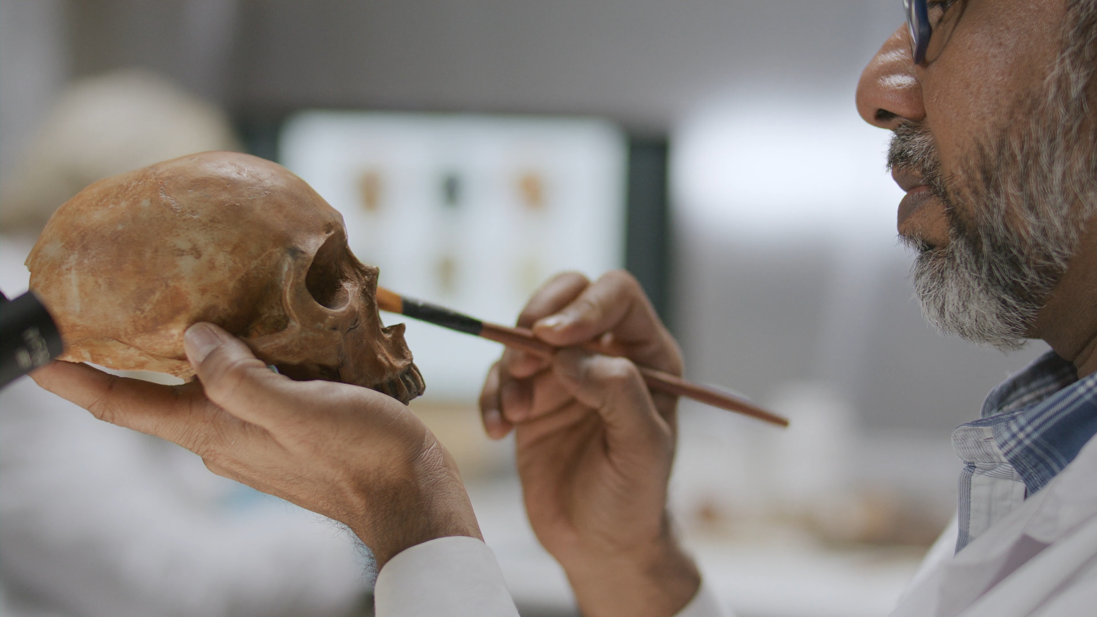 Discover archaeological-lab, a story-driven footage | Artlist