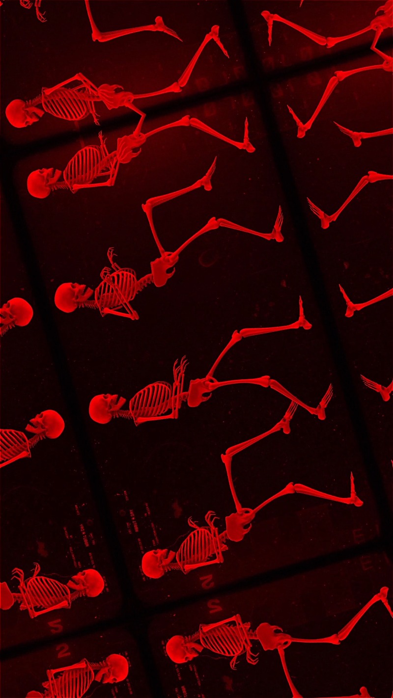 Background, Halloween, Skeletons, Loop by Pixel DNA – Stock Footage ...