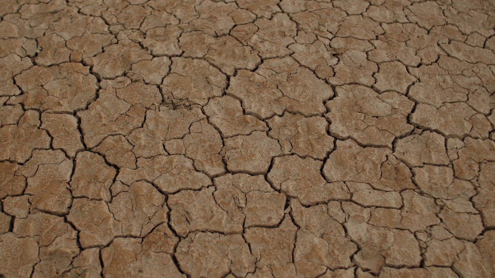 Discover desert-textures, a story-driven footage | Artlist