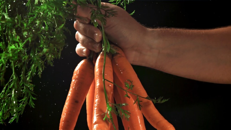 Vegetable, Carrot, Produce, Fresh by Artem_ka – Stock Footage | Artlist