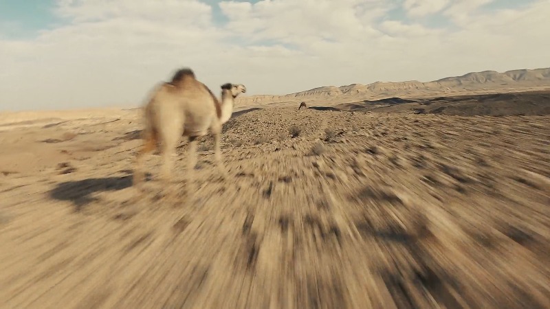 Rocky, Negev, Israel, Fpv by NOAMFPV – Stock Footage | Artlist