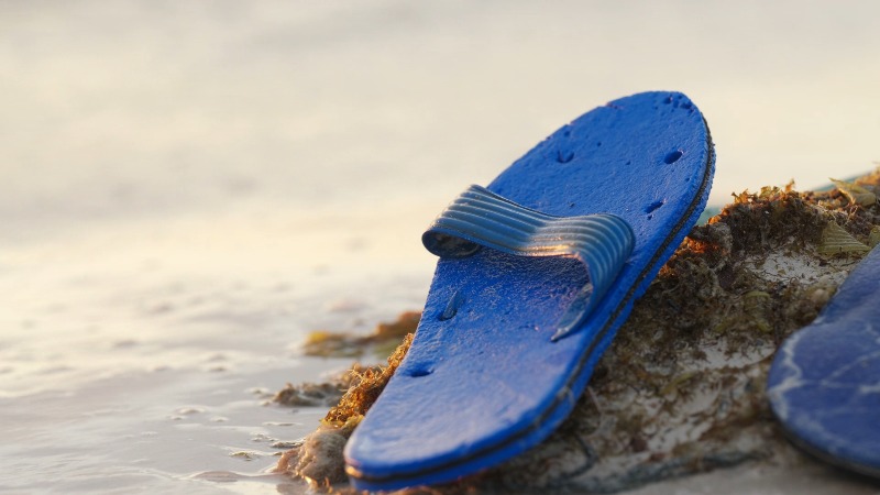 Pollution, Litter, Macroplastic, Waste by Daniel Stassen – Stock ...