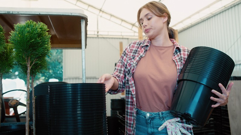 Crops, Organizing, Small Tree, Plants by Gpoint Studio – Stock Footage ...