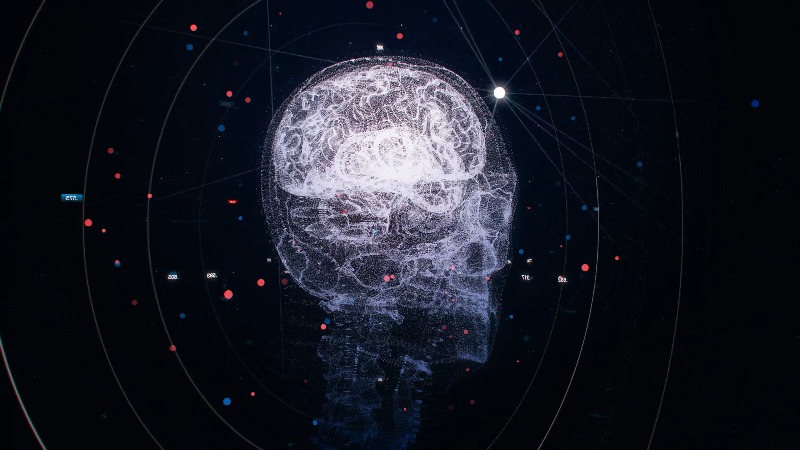 Brain, Growth, Analytics, Animated by Pressmaster – Stock Footage | Artlist