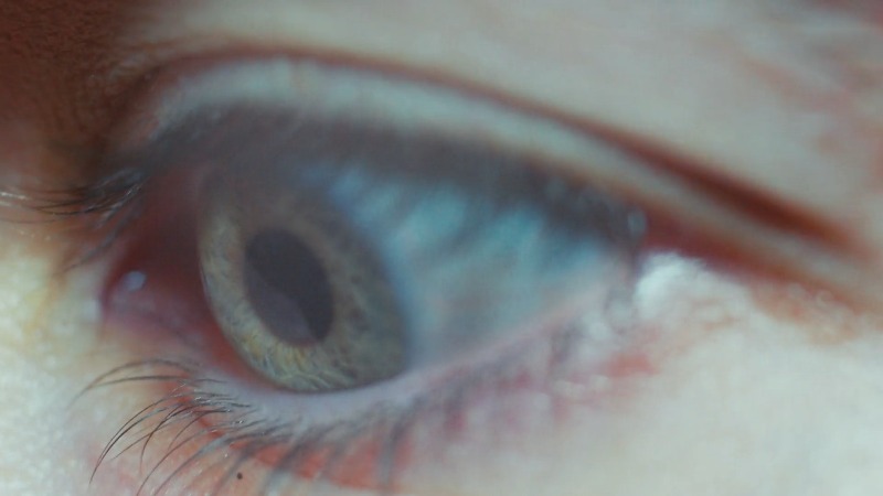 Iris, Staring, Flashing, Eyelid by Yuval Aloni – Stock Footage | Artlist