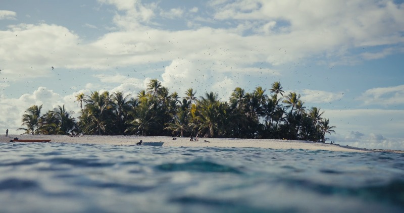 Tuvalu, Island, Underwater, Reef by Spencer Frost – Stock Footage | Artlist