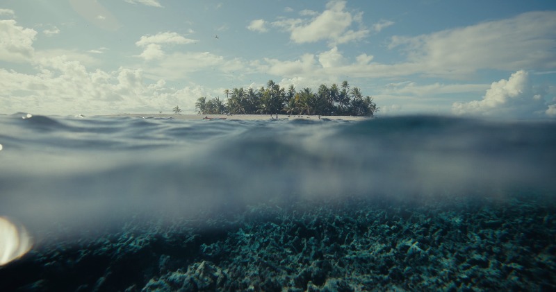Tuvalu, Island, Underwater, Reef by Spencer Frost – Stock Footage | Artlist