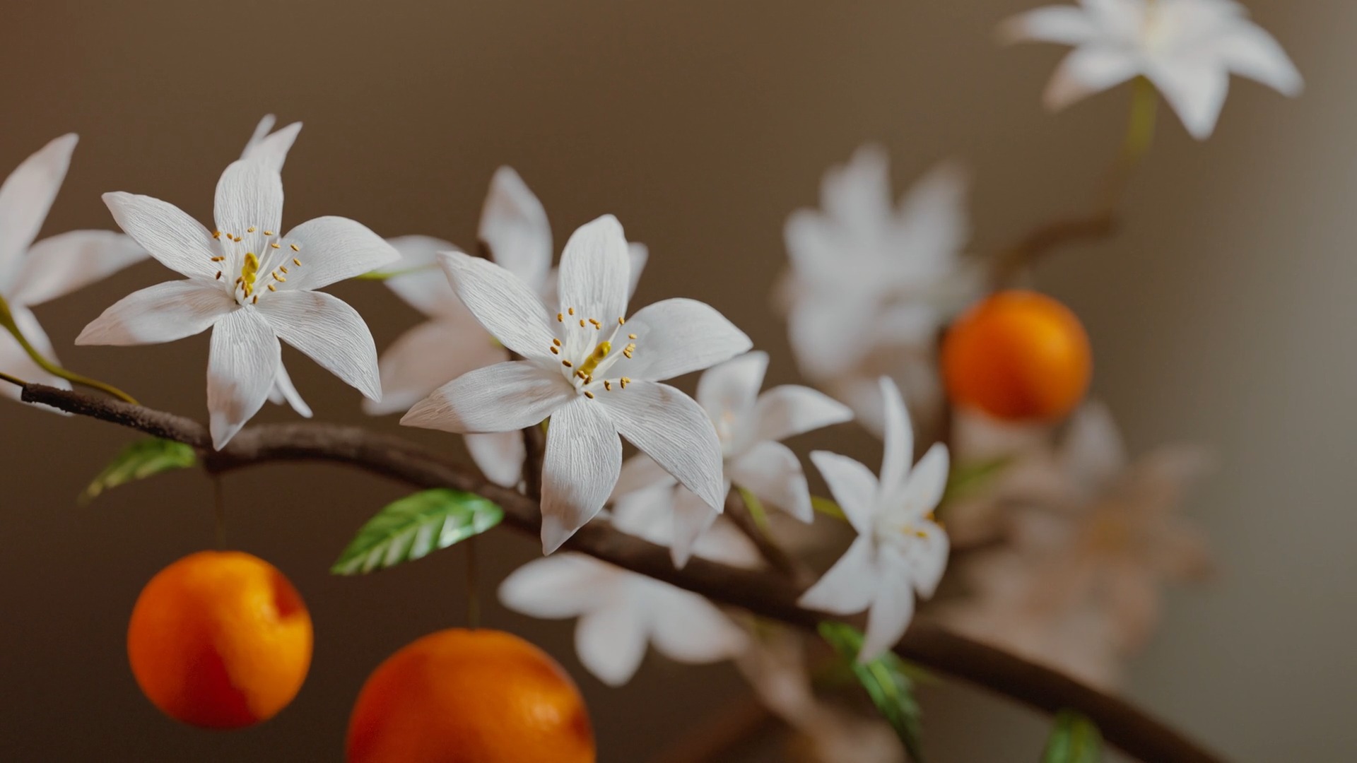 Discover animated-bloom, a story-driven footage | Artlist