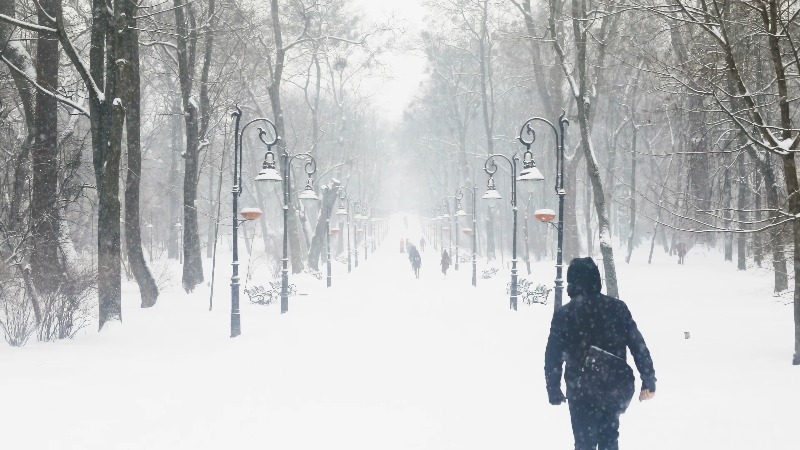 Man, Back Shot, Winter, Snowfall by Oleh Ibrahimov – Stock Footage ...