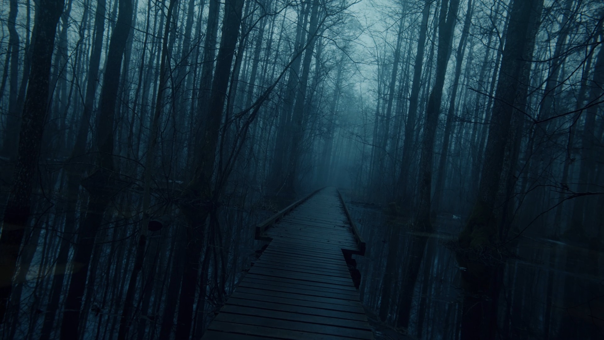 Discover swamp-horror-atmosphere, a story-driven footage | Artlist