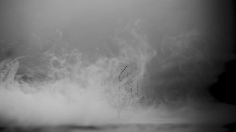 Serene, Surreal, Wafting, Smoke by Omri Ohana – Stock Footage | Artlist