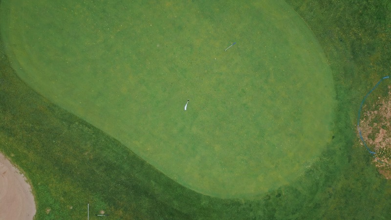 Top Shot, Golf, Resort, Grass by Stockbusters – Stock Footage | Artlist
