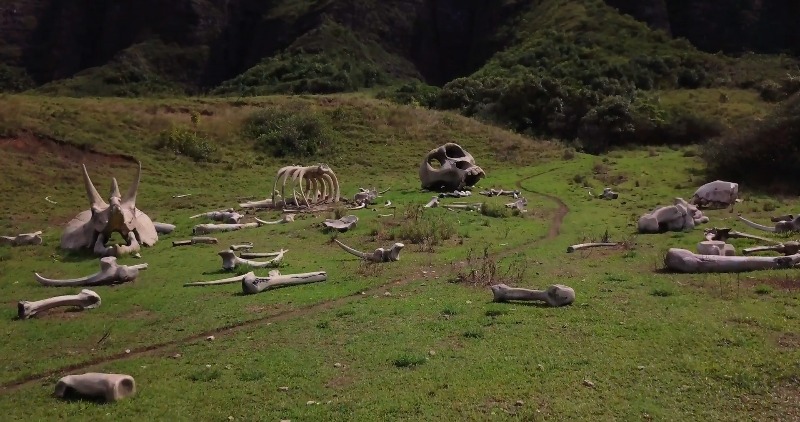 Drone, Hawaii, Kualoa Ranch, Bones by DLW – Stock Footage | Artlist