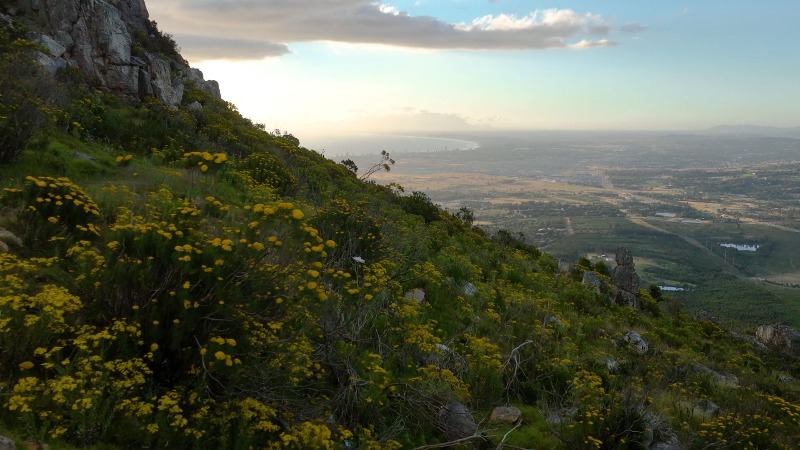 Africa, Nature, Wilderness, Cape Town by Edwin Haighton – Stock Footage ...