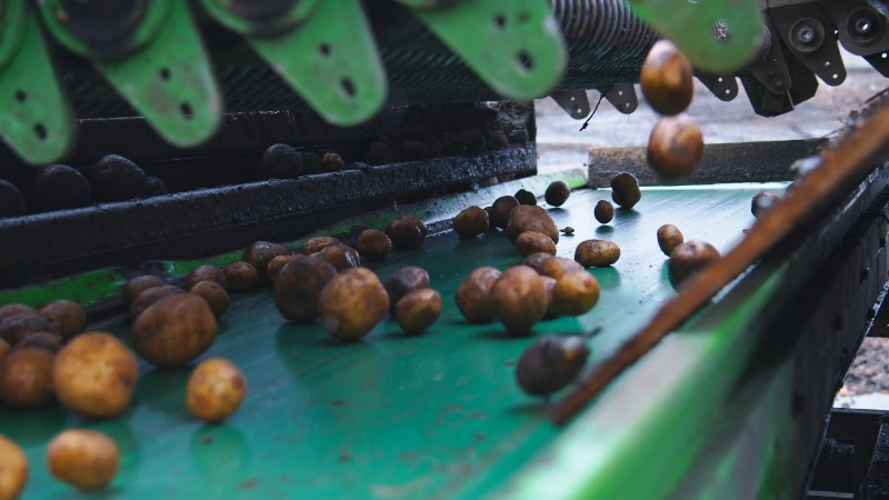 Mud, Conveyer Belt, Moving, Potatoes by Oleh Ibrahimov – Stock Footage ...