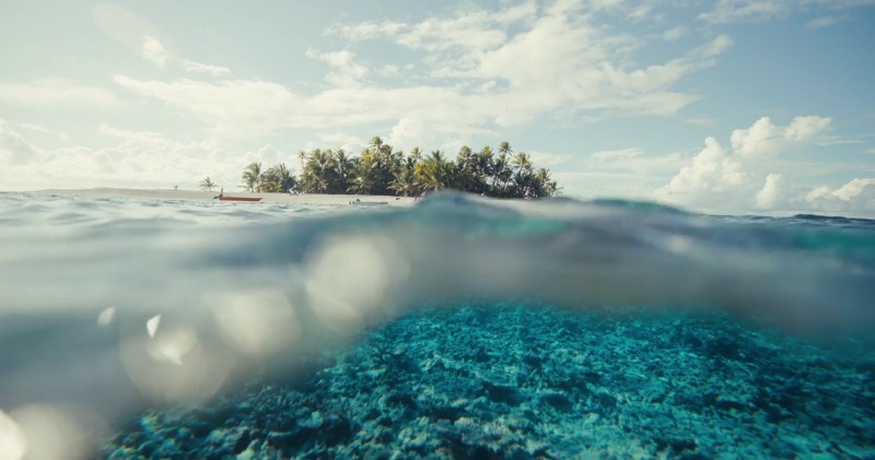 Tuvalu, Island, Underwater, Reef by Spencer Frost – Stock Footage | Artlist