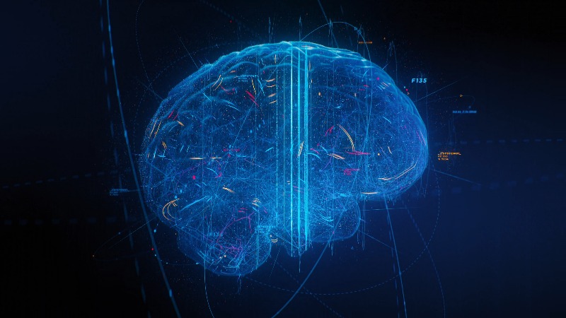 Brain, Communication, Digital, Creativity by Cinematic Vision – Stock ...