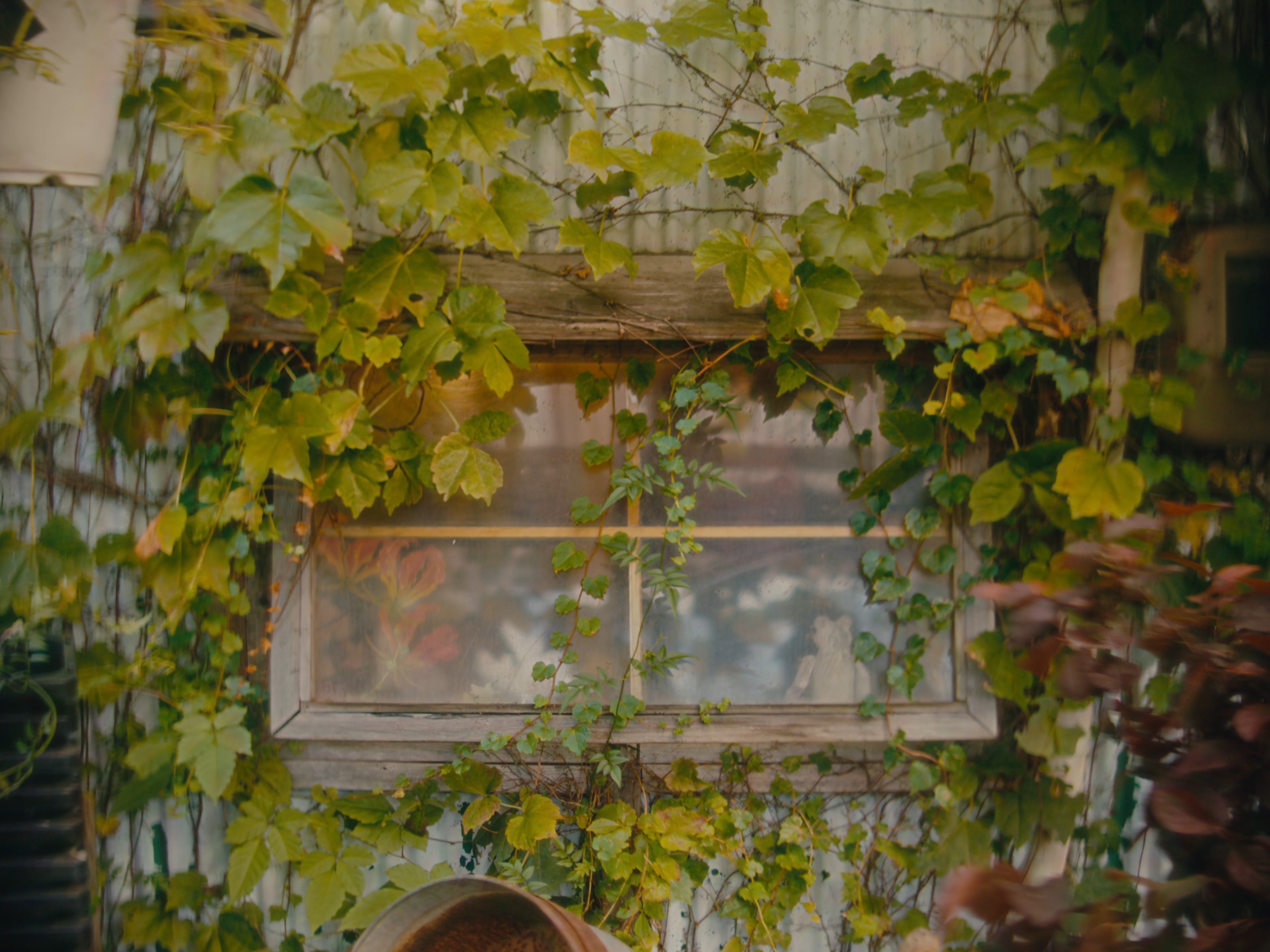 Discover japanese-florist, a story-driven footage | Artlist