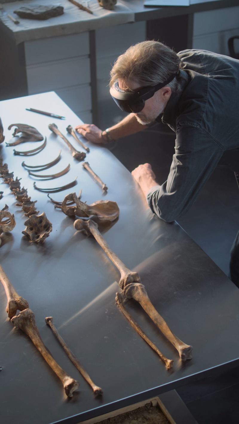 Man, Archaeologist, Scientist, Human Skeleton by Frame Stock Footage ...