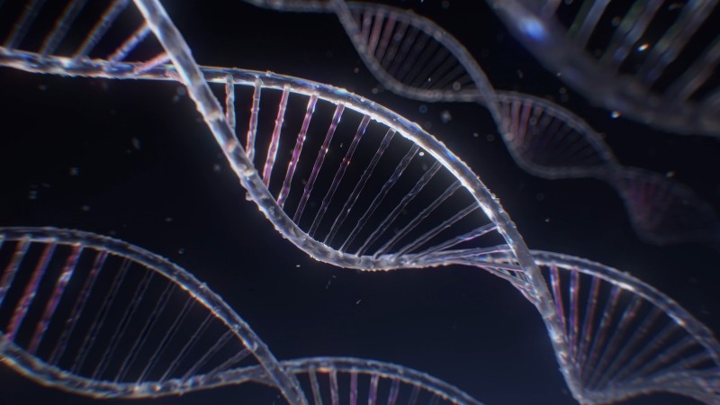 Cells, Dna, Cgi, Double Helix by Eli Magaziner – Stock Footage | Artlist