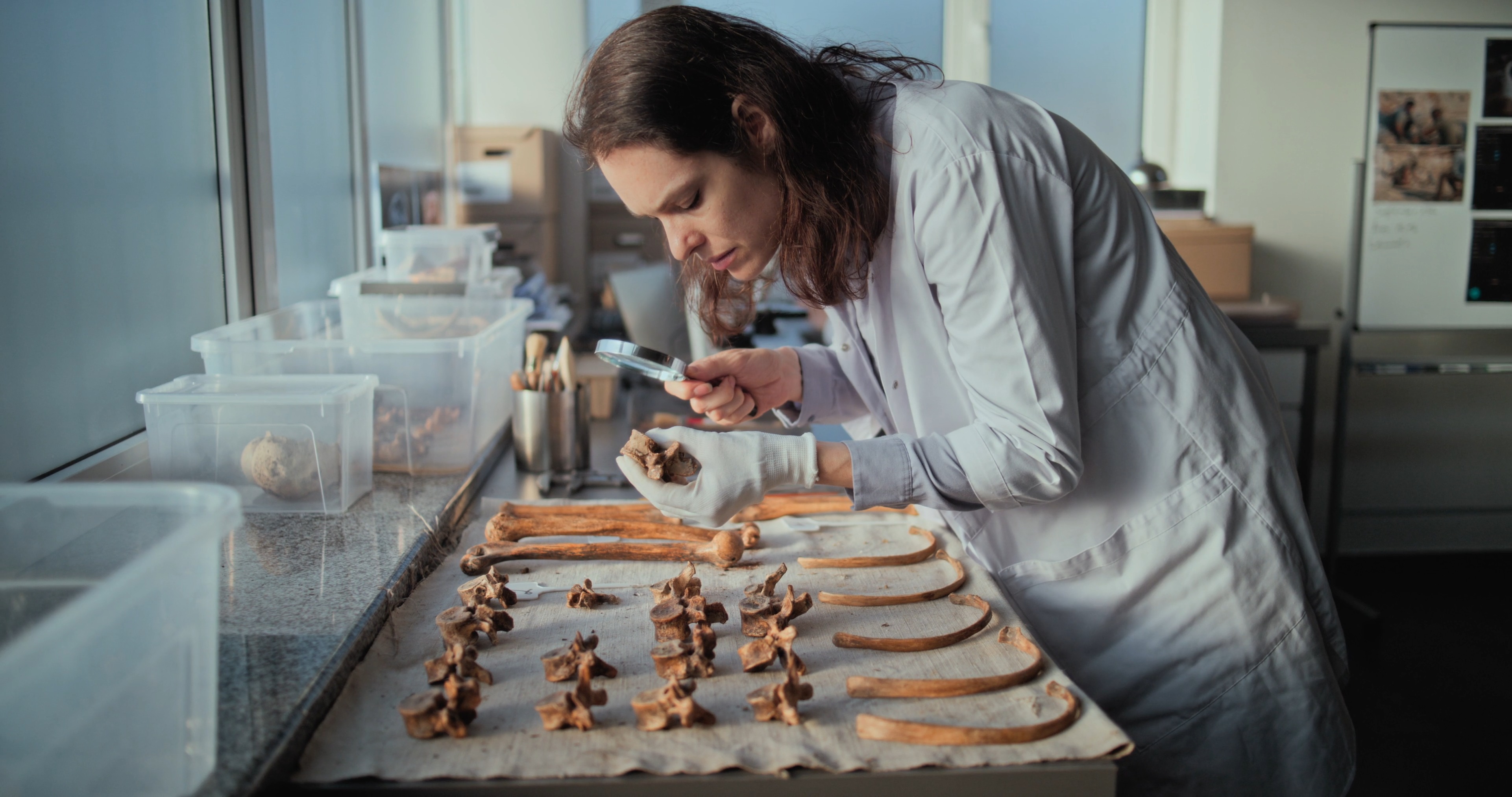 Discover archaeological-lab, a story-driven footage | Artlist