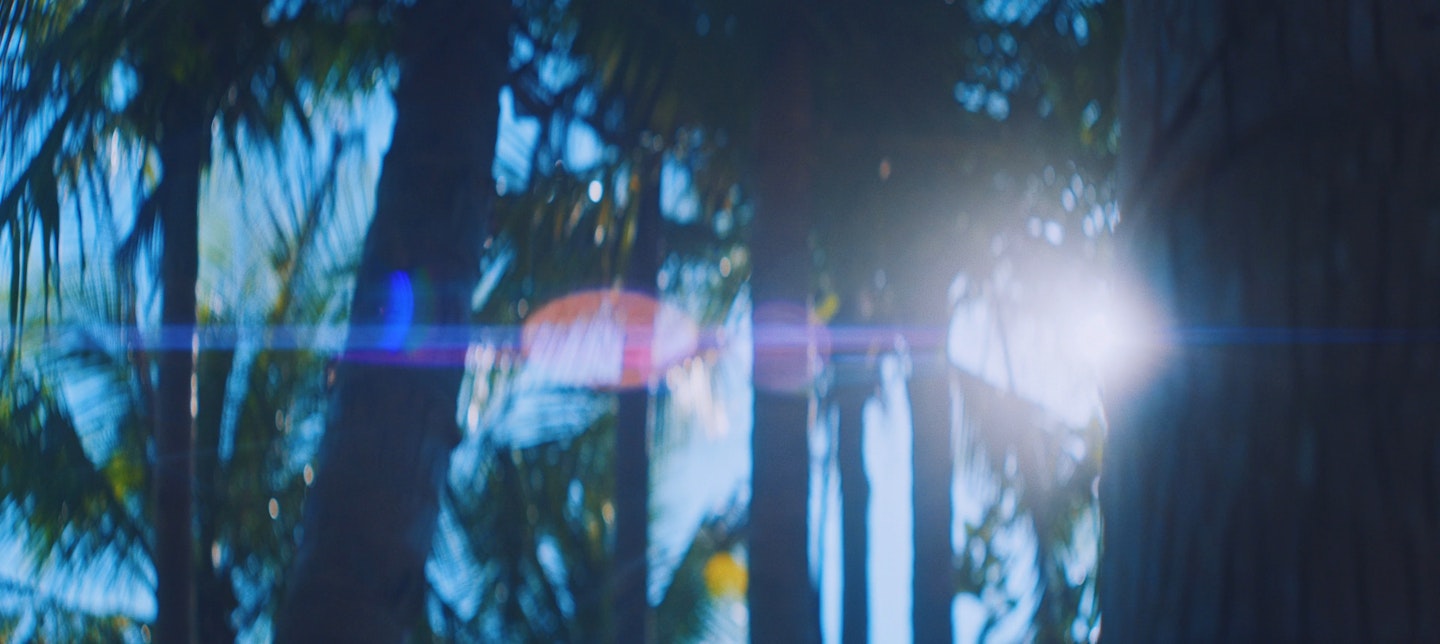 Discover tropical-sense, a story-driven footage | Artlist