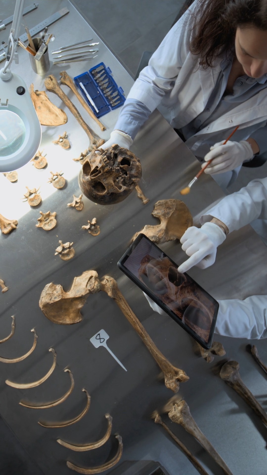 Discover archaeological-lab, a story-driven footage | Artlist