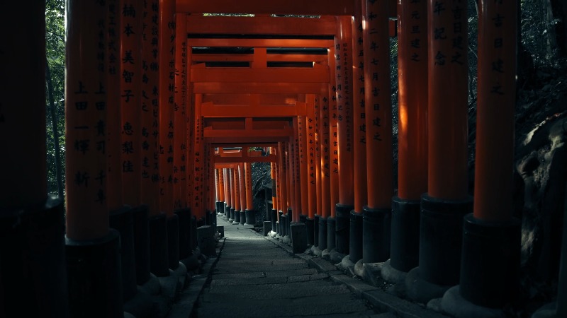 Gate, Road, Japan, Buddhism by Reinis Kaspars – Stock Footage | Artlist