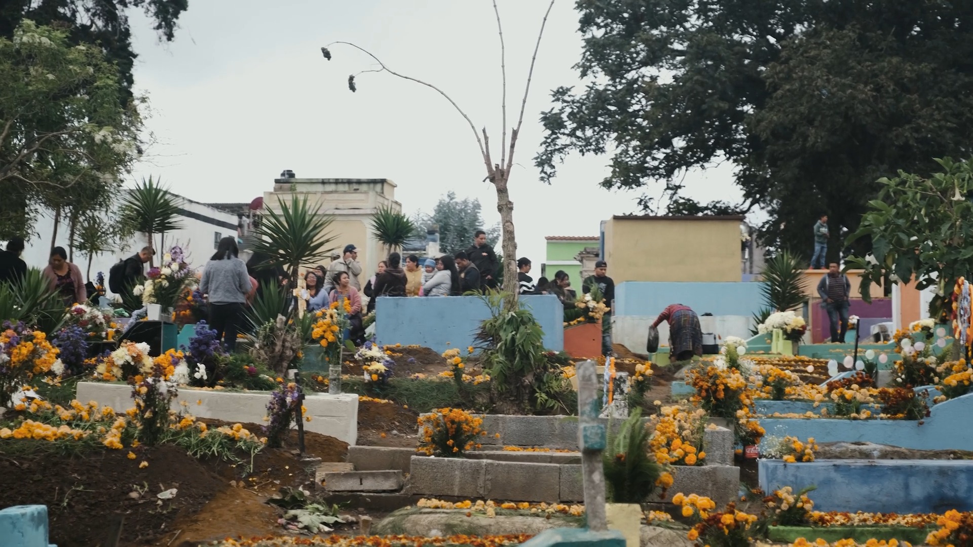 Discover day-of-the-dead-guatemala, a story-driven footage | Artlist