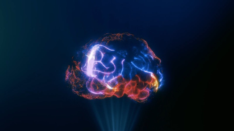 Intelligence, Data, Brain, Background by Oleh Ibrahimov – Stock Footage ...