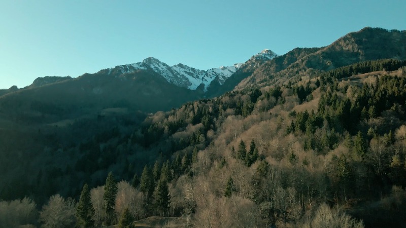Snow Capped, Dolomites, Pine Trees, Hills by Pierre Saba-Aris – Stock ...