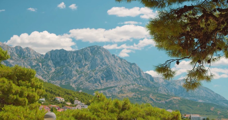 View, Brela, Mountain, Tree by Igor Tichonow – Stock Footage | Artlist