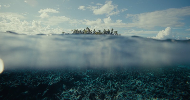 Tuvalu, Island, Underwater, Reef by Spencer Frost – Stock Footage | Artlist