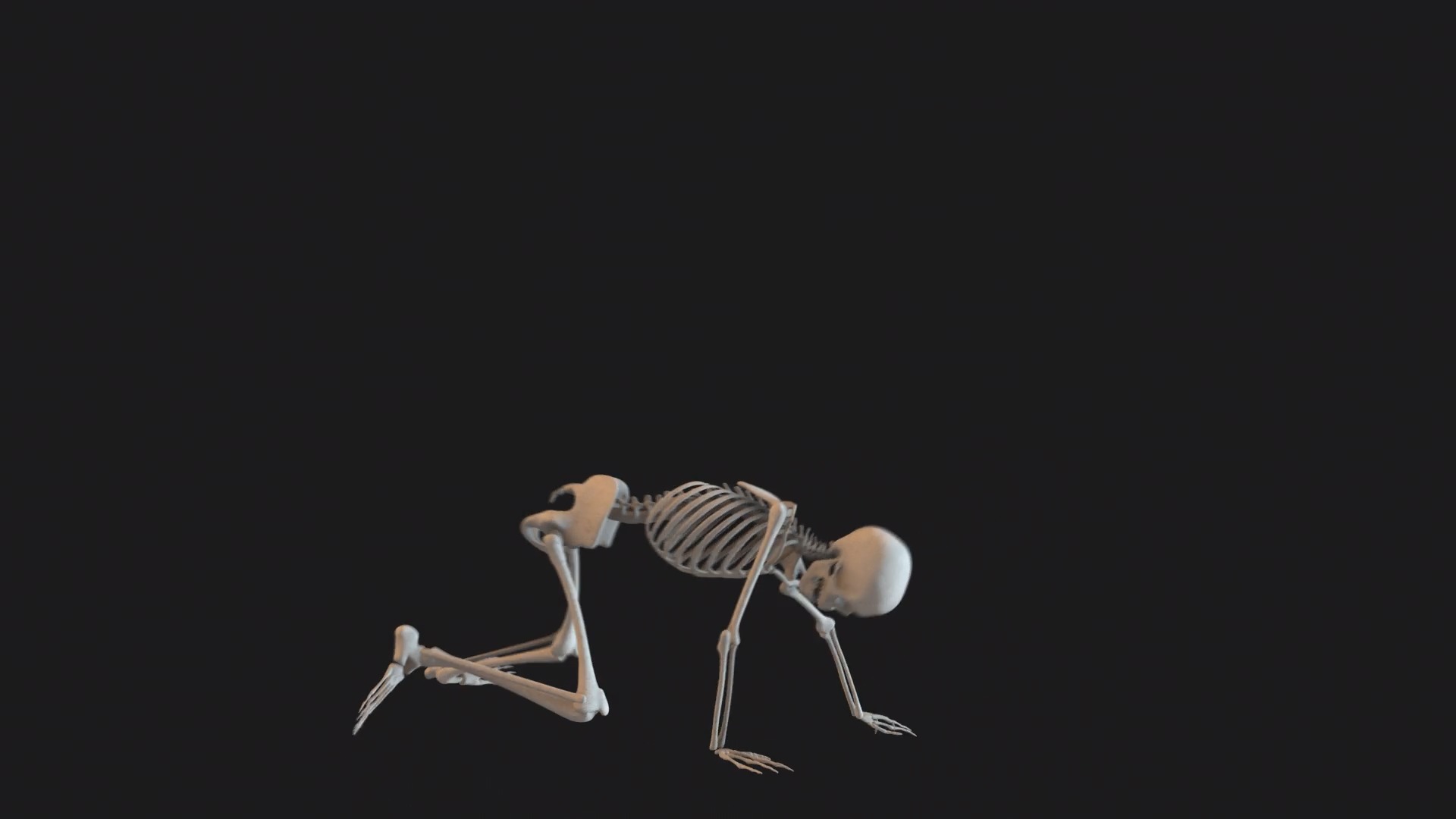 Discover skeletons-in-motion, a story-driven footage | Artlist