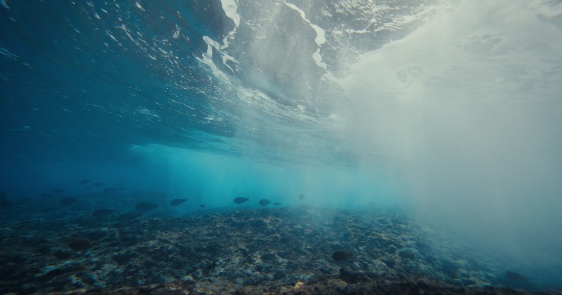 Tuvalu, Underwater, Waves, Reef by Spencer Frost – Stock Footage | Artlist