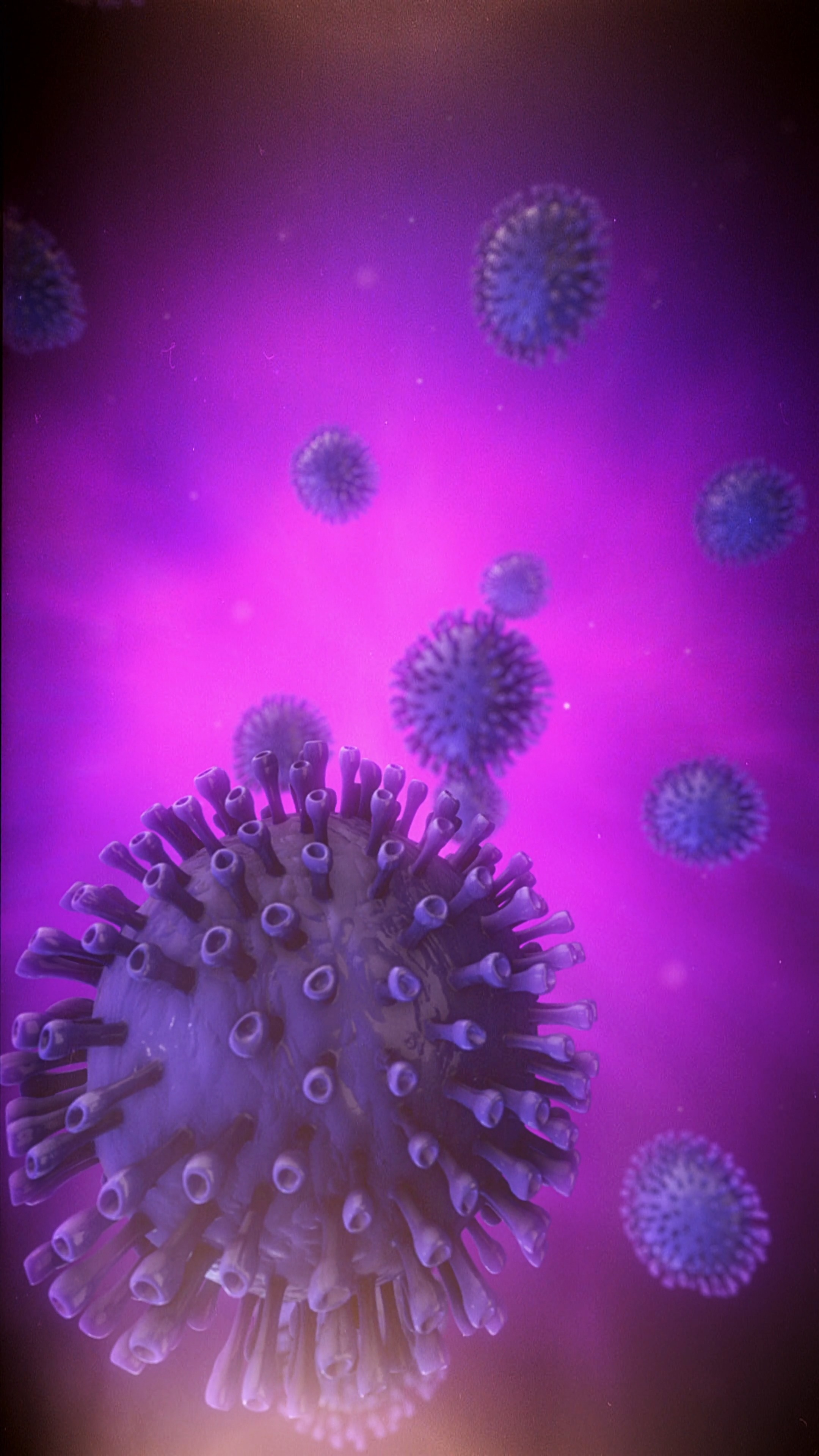 Discover microscopic-biology, a story-driven footage | Artlist